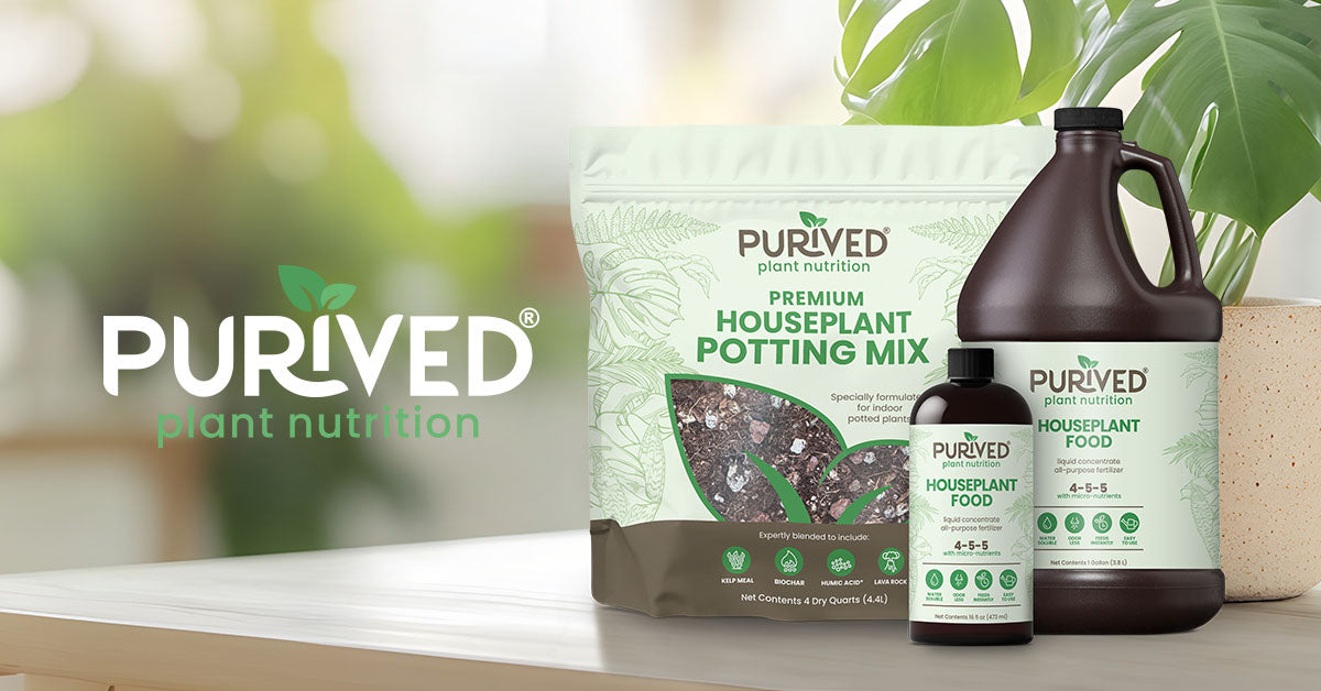 Purived | Plant Nutrition | Liquid Houseplant Food, Indoor House Plant